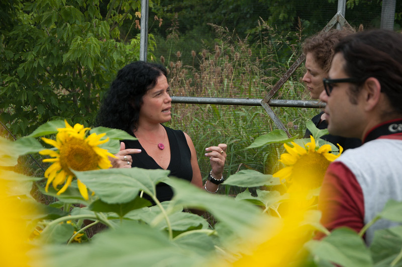 Genómica Funcional y Ecofisiología Aplicada a la Senescencia y