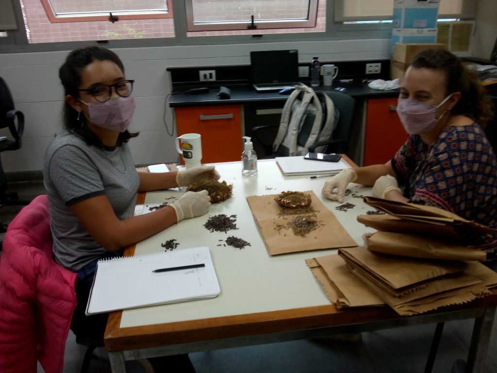 Genómica Funcional y Ecofisiología Aplicada a la Senescencia y